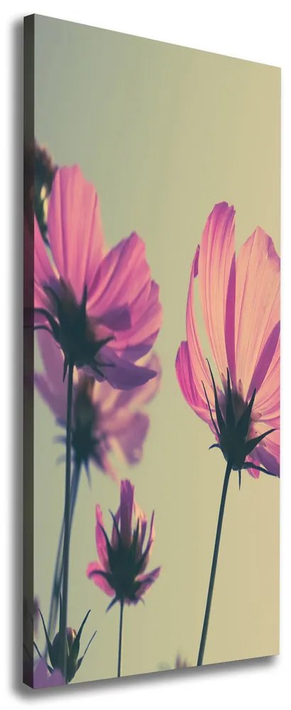 Wallmuralia Foto obraz na plátně Růžové květiny 50x125 cm
