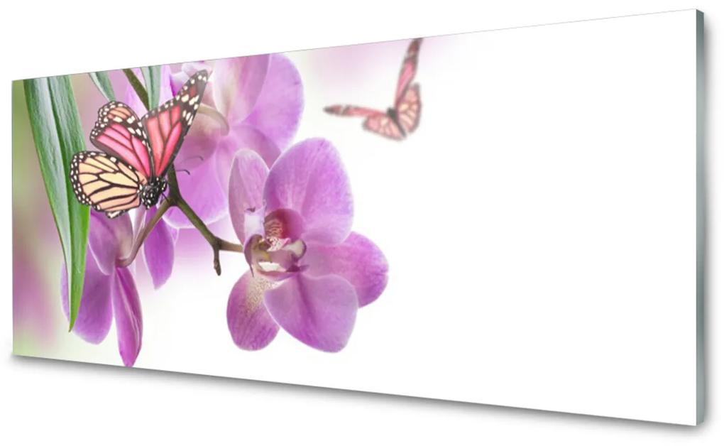 Plexisklo obraz Motýli Květiny Příroda