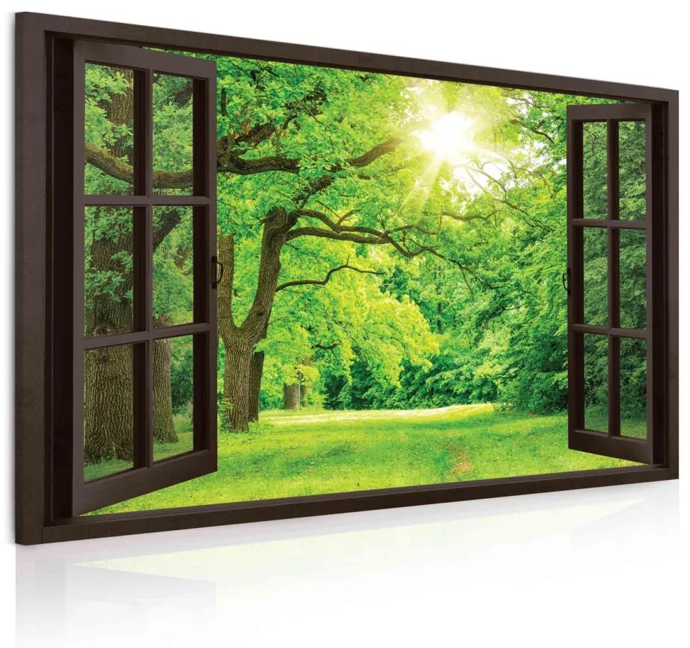 Malvis Malvis Obraz jarní svěžest za oknem  120x80 cm