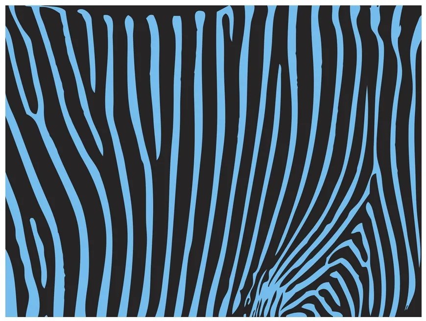 Fototapeta - Zebra pattern (tyrkys)