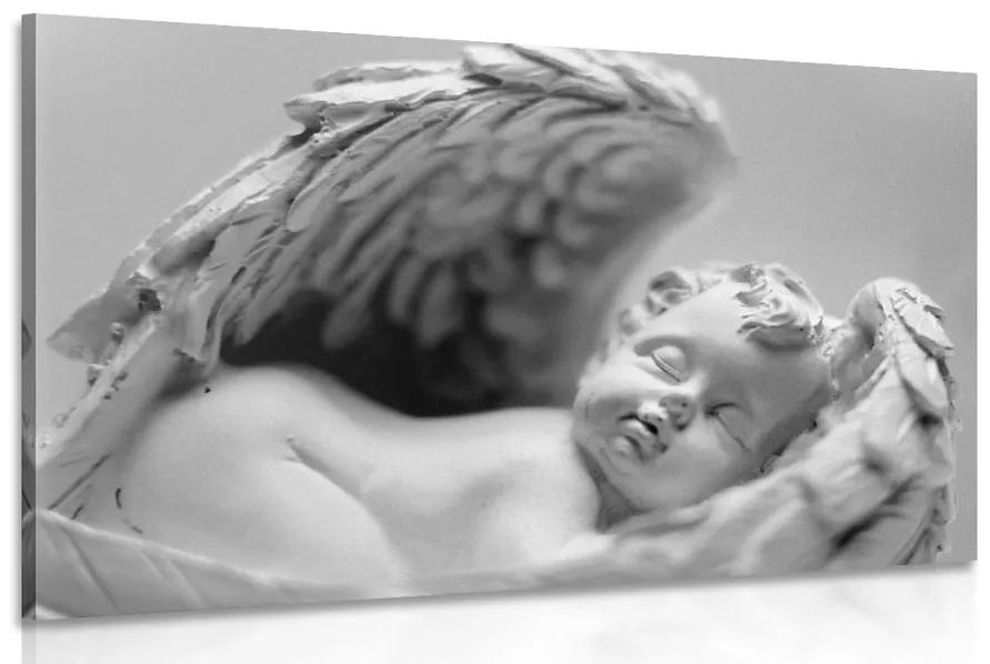 Obraz malý andílek v černobílém provedení