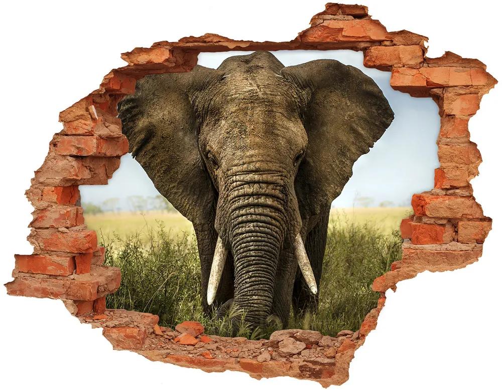 Wallmuralia Díra 3D fototapeta na stěnu Sloni na savaně 90x70 cm