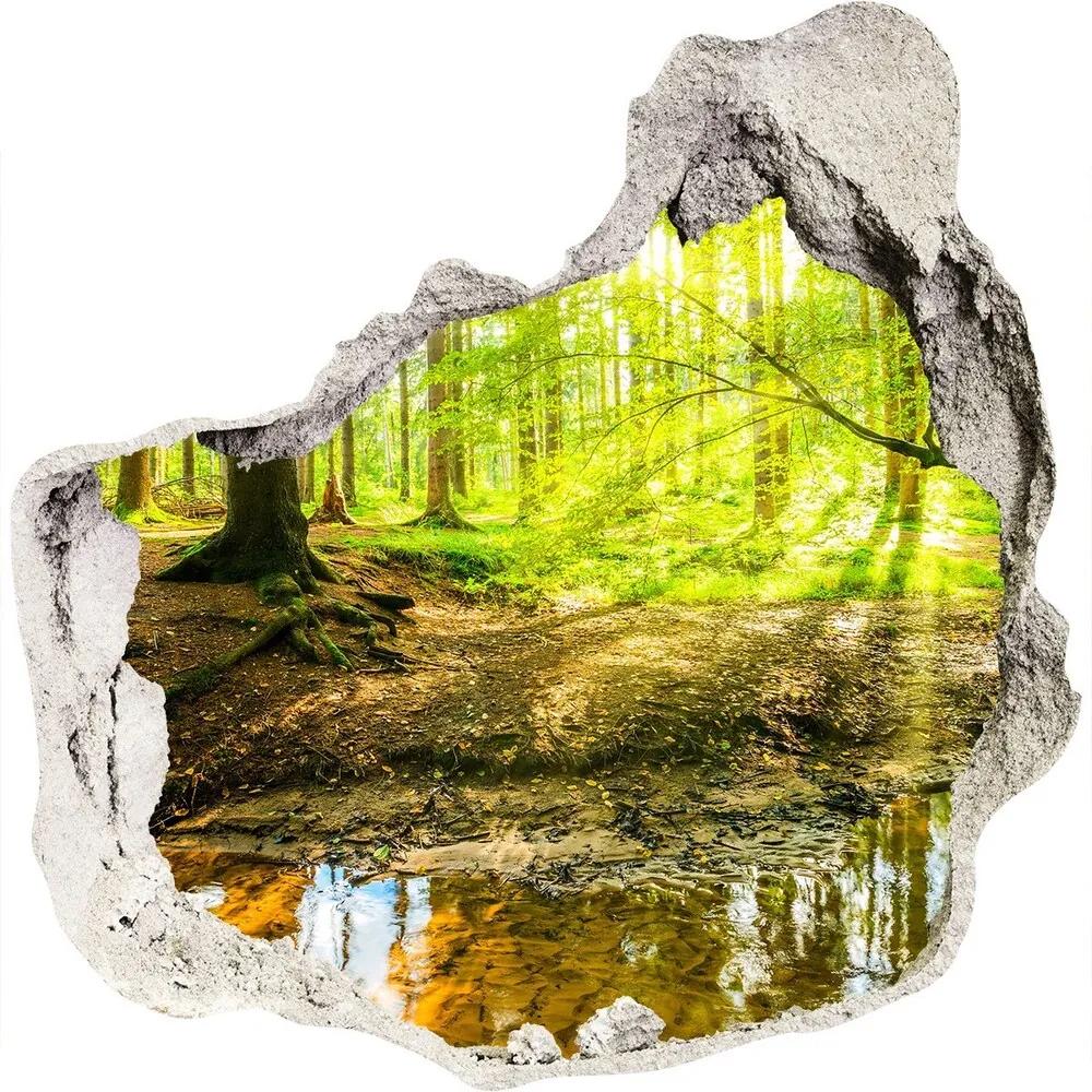 Wallmuralia Samolepící nálepka beton Rybník v lese 75x75 cm