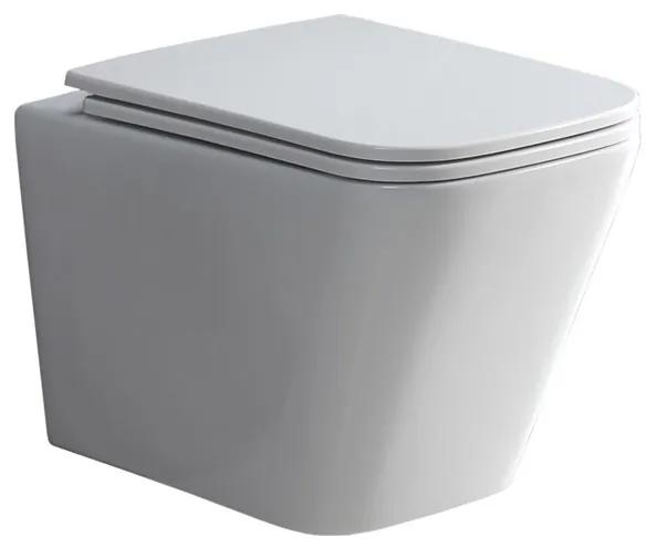 Mereo WC závěsné kapotované, RIMLESS, 490x340x350, keramické, vč. sedátka - VSD83S