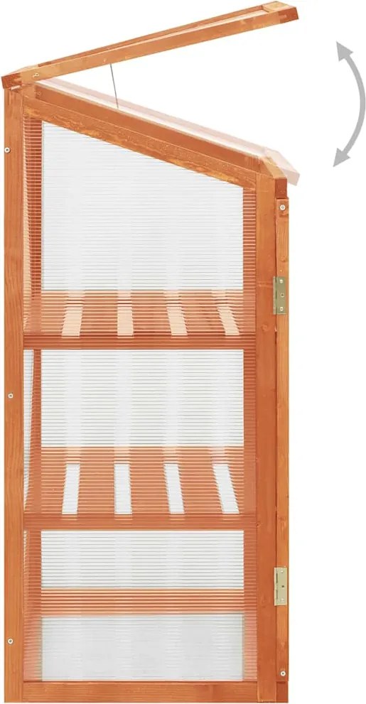 Skleník 60 x 45 x 100 cm jedlové dřevo 314848