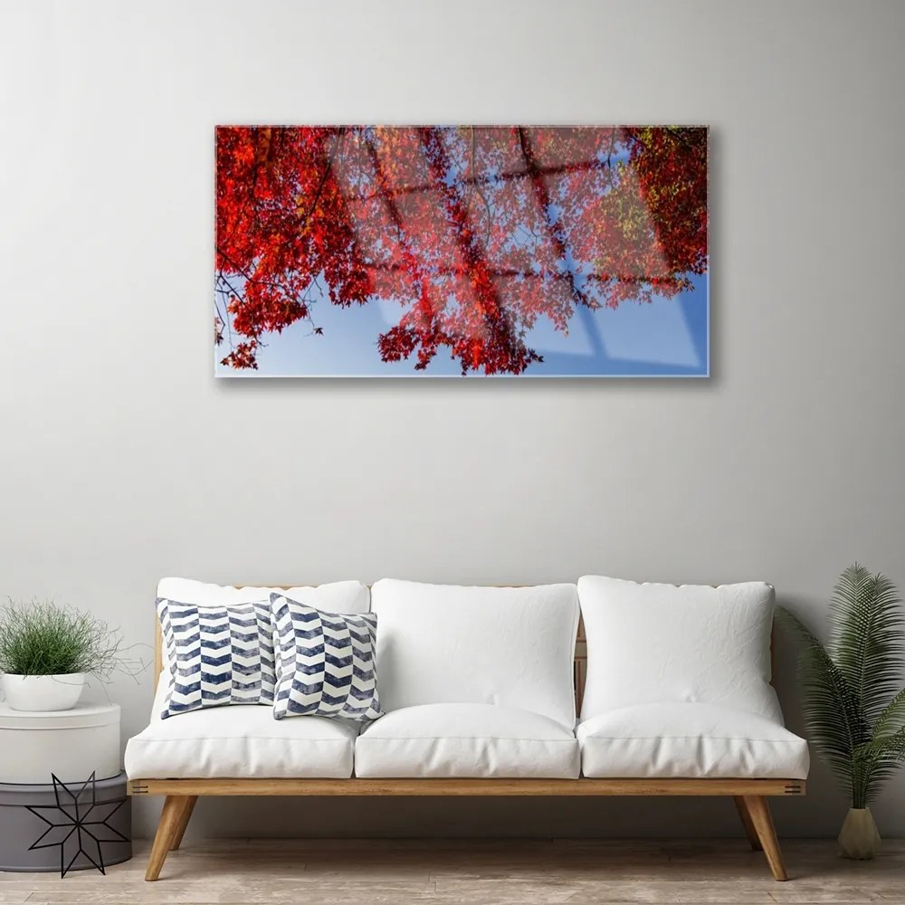 Obraz na skle Strom Listy Větve Příroda 125x50 cm