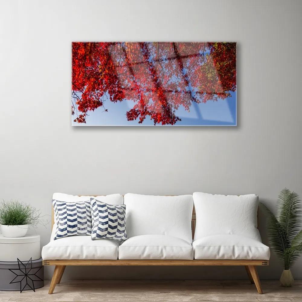 Obraz na skle Strom Listy Větve Příroda 140x70 cm