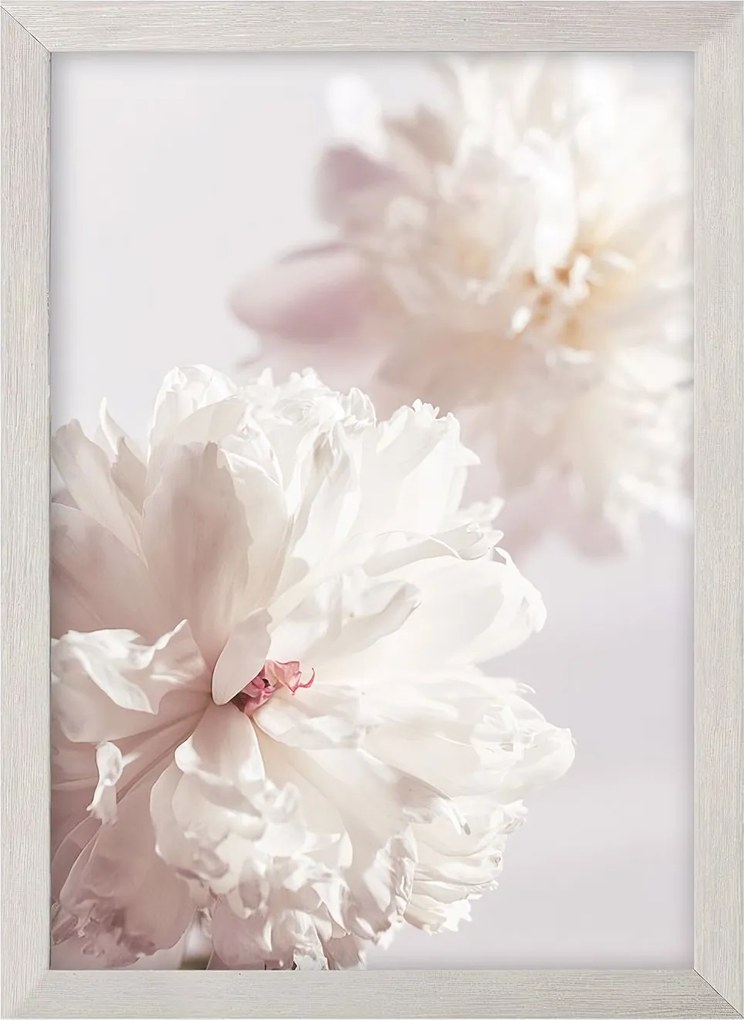 Obraz Peony II 21x30cm silver
