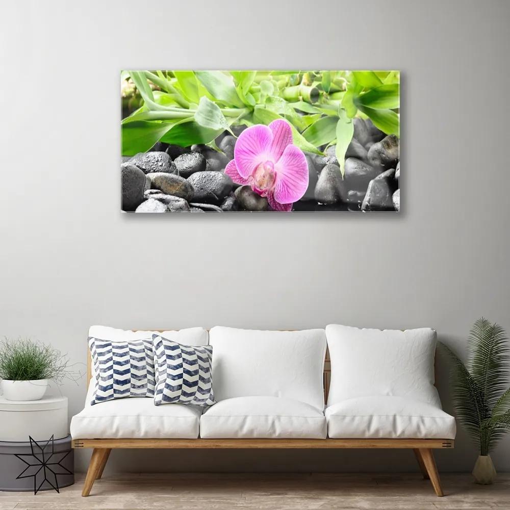 Obraz na skle Květiny Orchidej Kameny Zen 120x60 cm