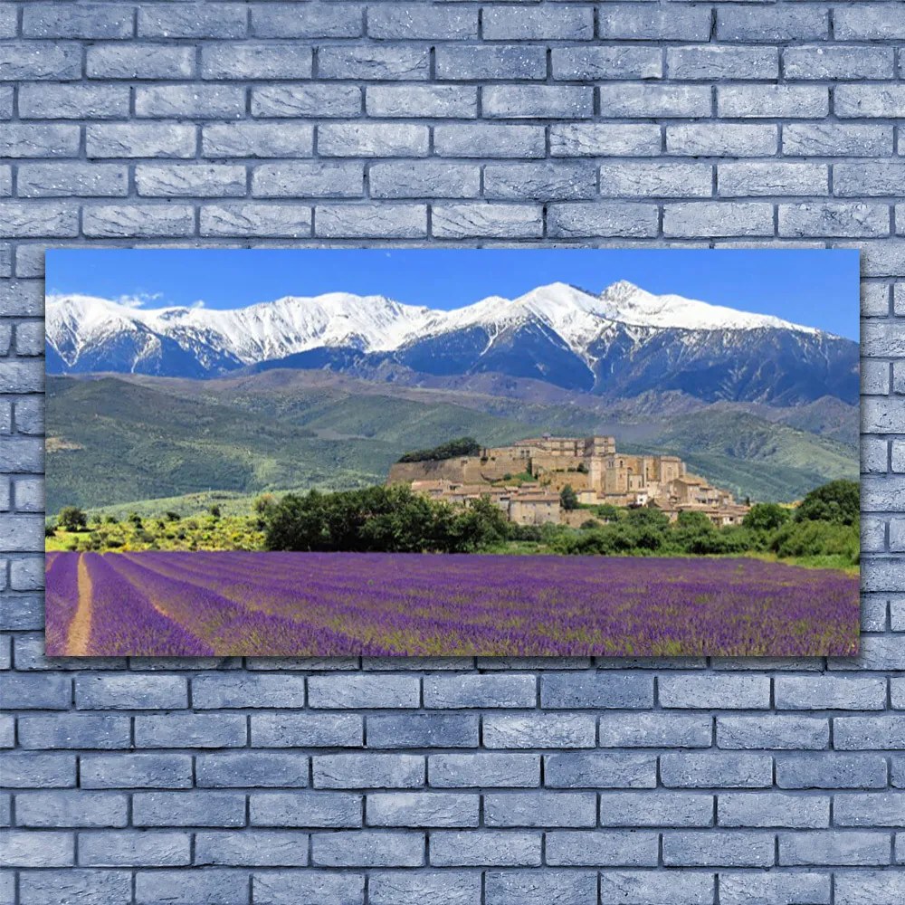 akrylový obraz Louka Květiny Hory Krajina 120x60 cm