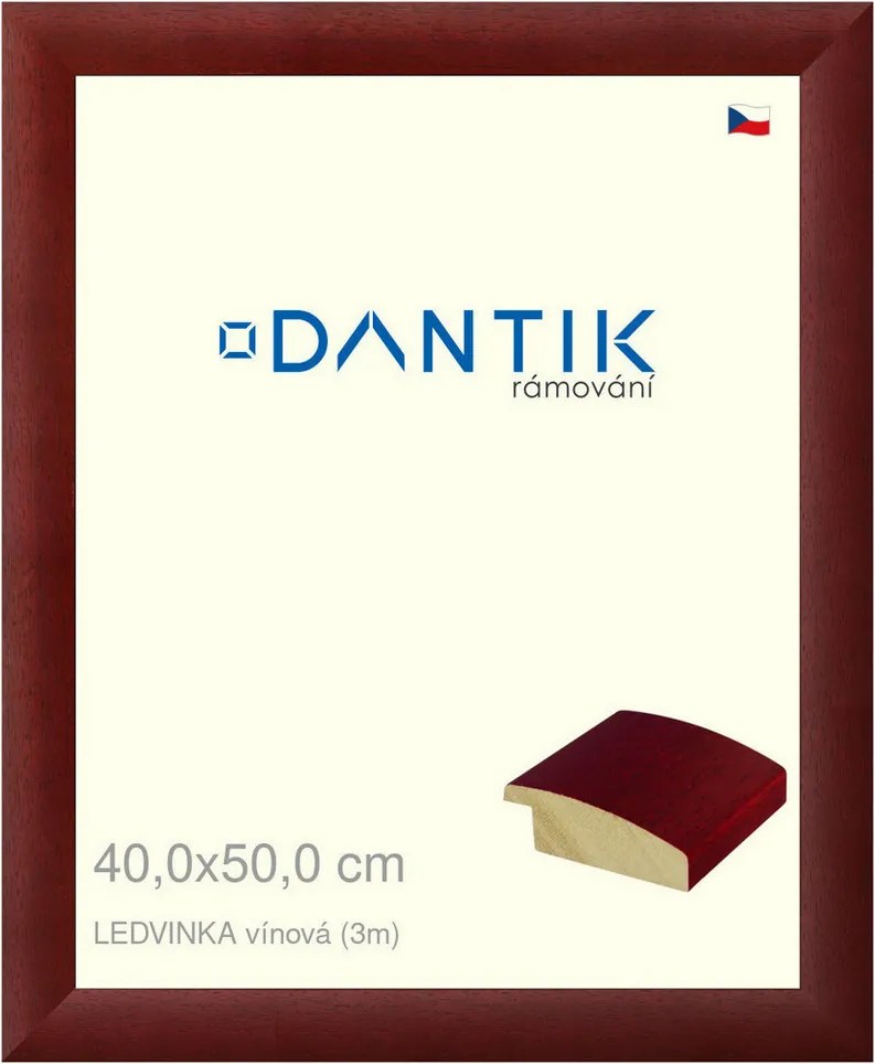 DANTIK rámeček 40x50 | LEDVINKA vínová (Plexi Čiré)