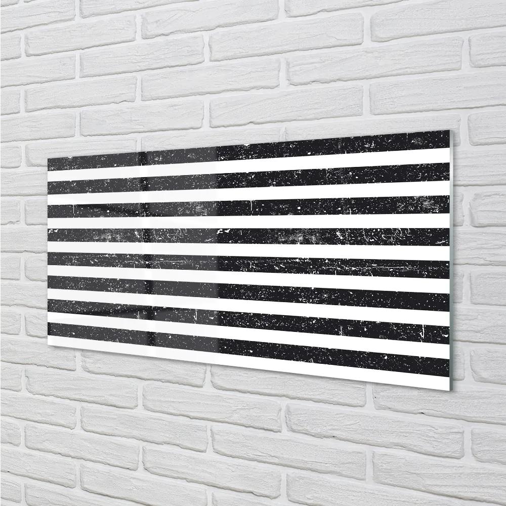 akrylový obraz Zebra pruhy skvrny 100x50 cm