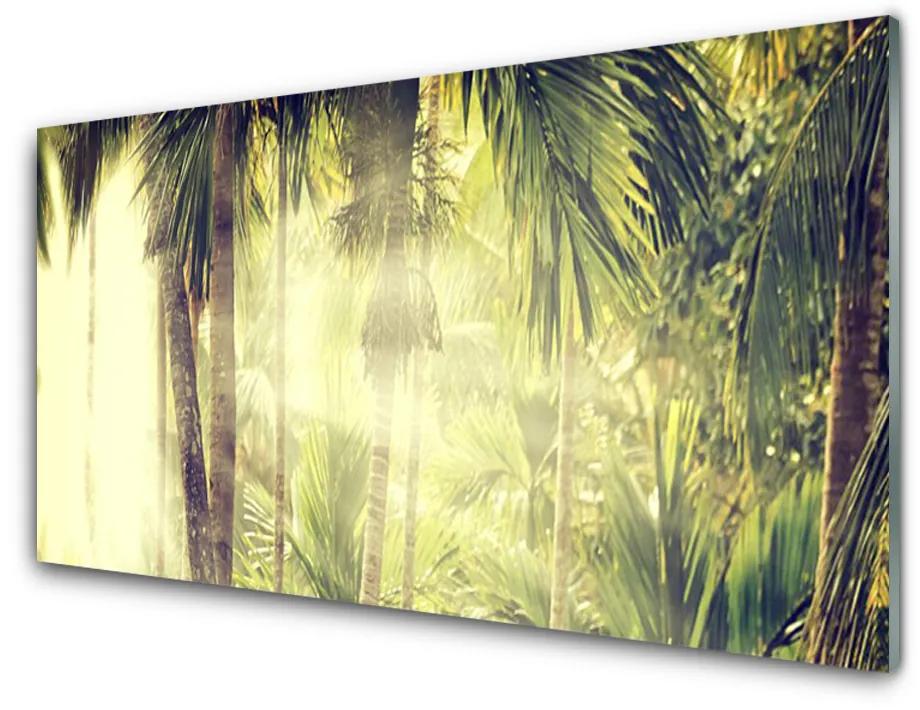 Obraz na skle Les Palmy Stromy Příroda 125x50 cm