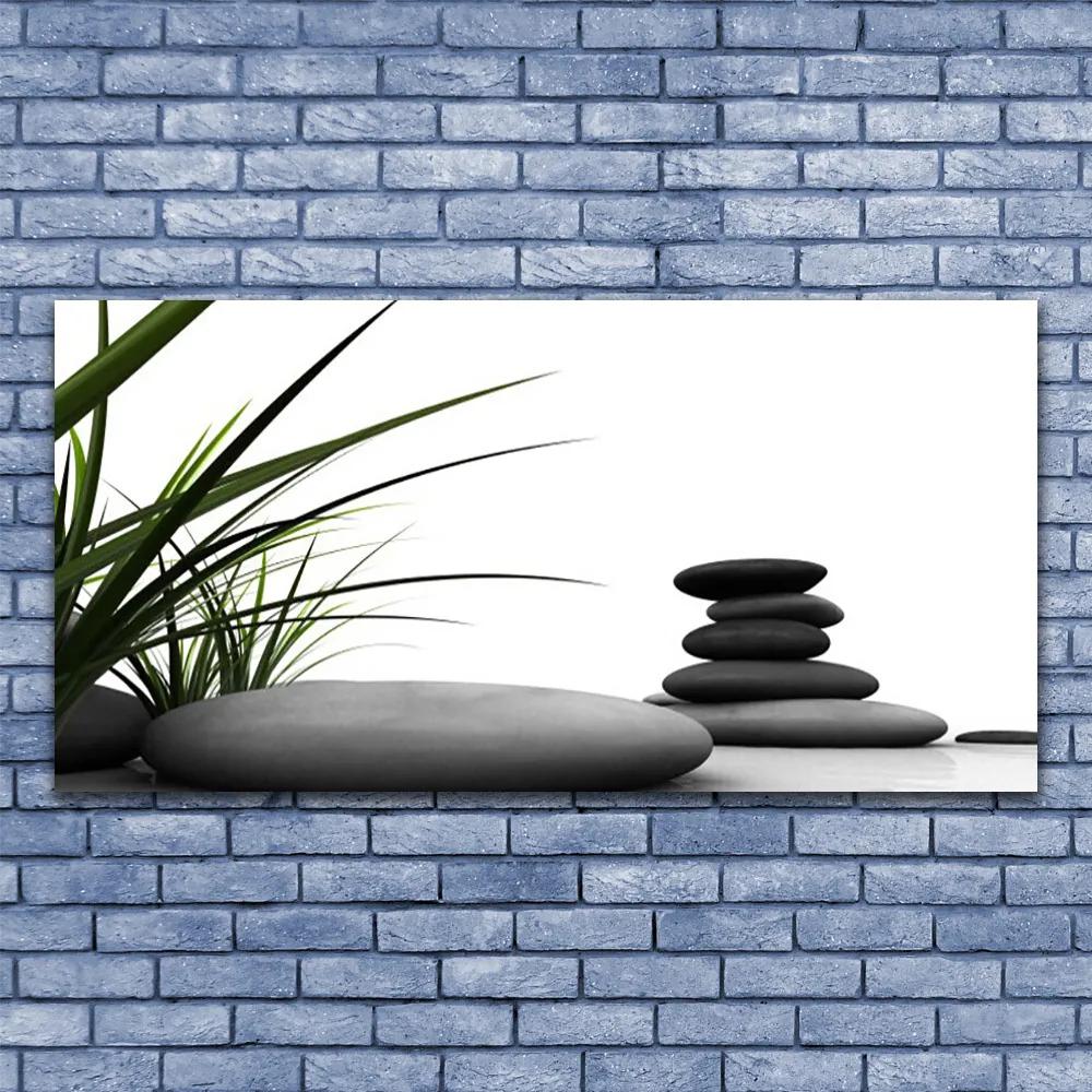 Plexisklo-obraz Kameny Zen Tráva 120x60 cm