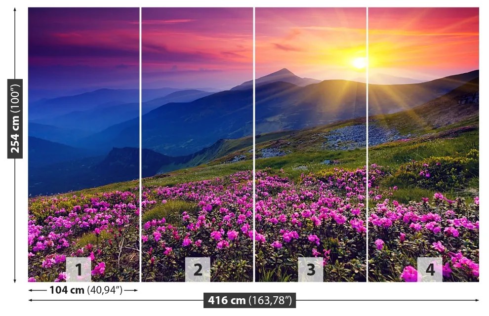 Fototapeta Rhododendron Květiny 104x70