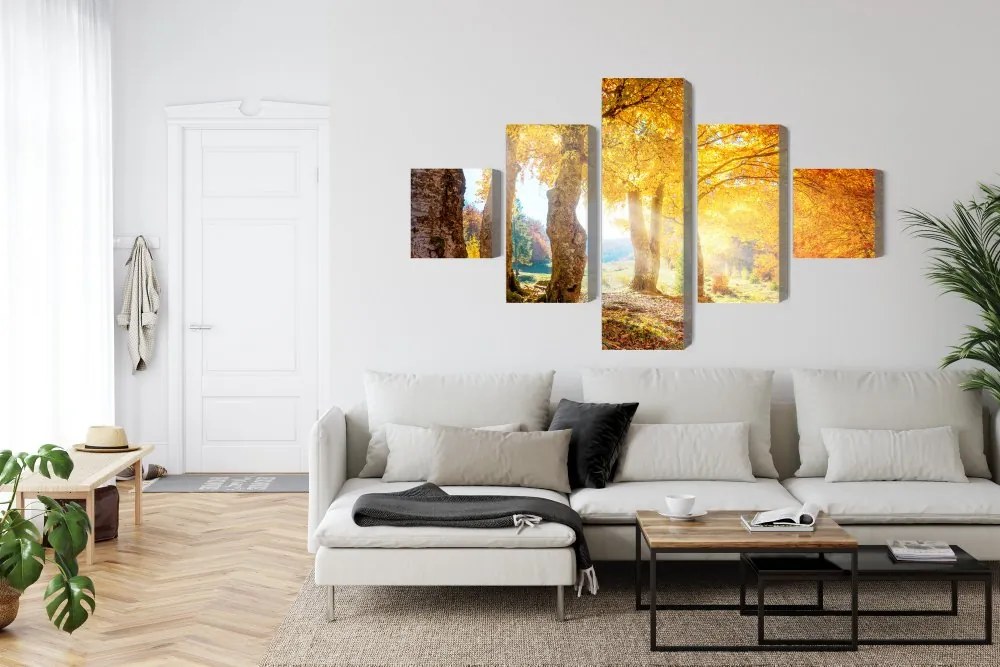 Vícedílný obraz Slunečný Podzimní Les Nedostatek Nedostatek Přírodní plátno 250x150