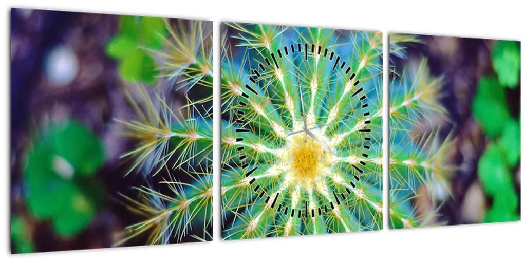 Obraz kaktusu (s hodinami) (90x30 cm)