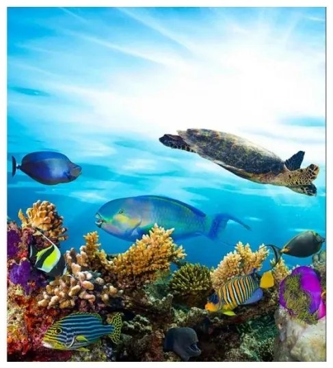 DIMEX | Vliesová fototapeta na zeď Ryby v oceánu MS-3-0216 | 225 x 250 cm | modrá, vícebarevná