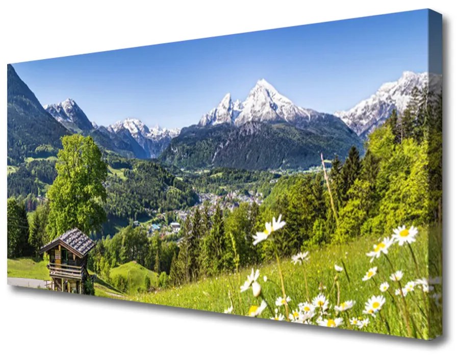 Obraz na plátně Hora Pole Příroda 140x70 cm