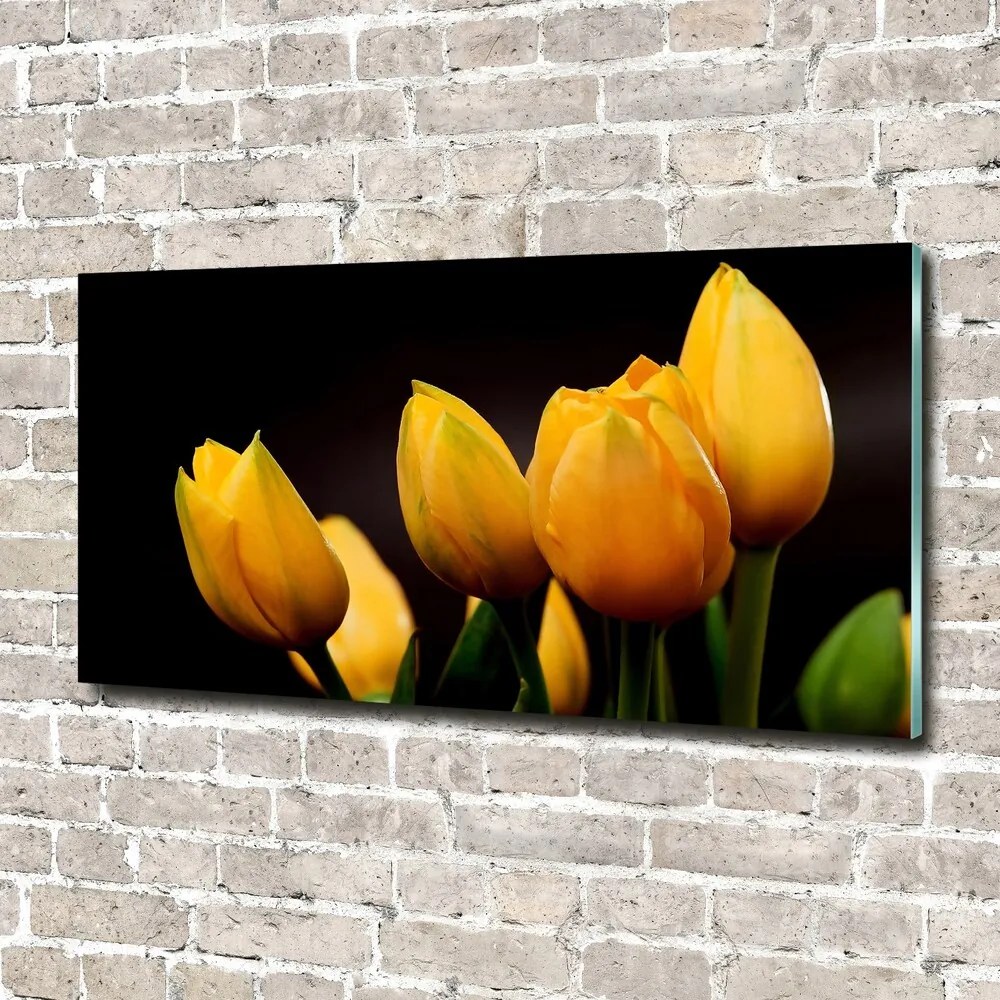 Wallmuralia Foto obraz sklo tvrzené Žluté tulipány 140x70 cm