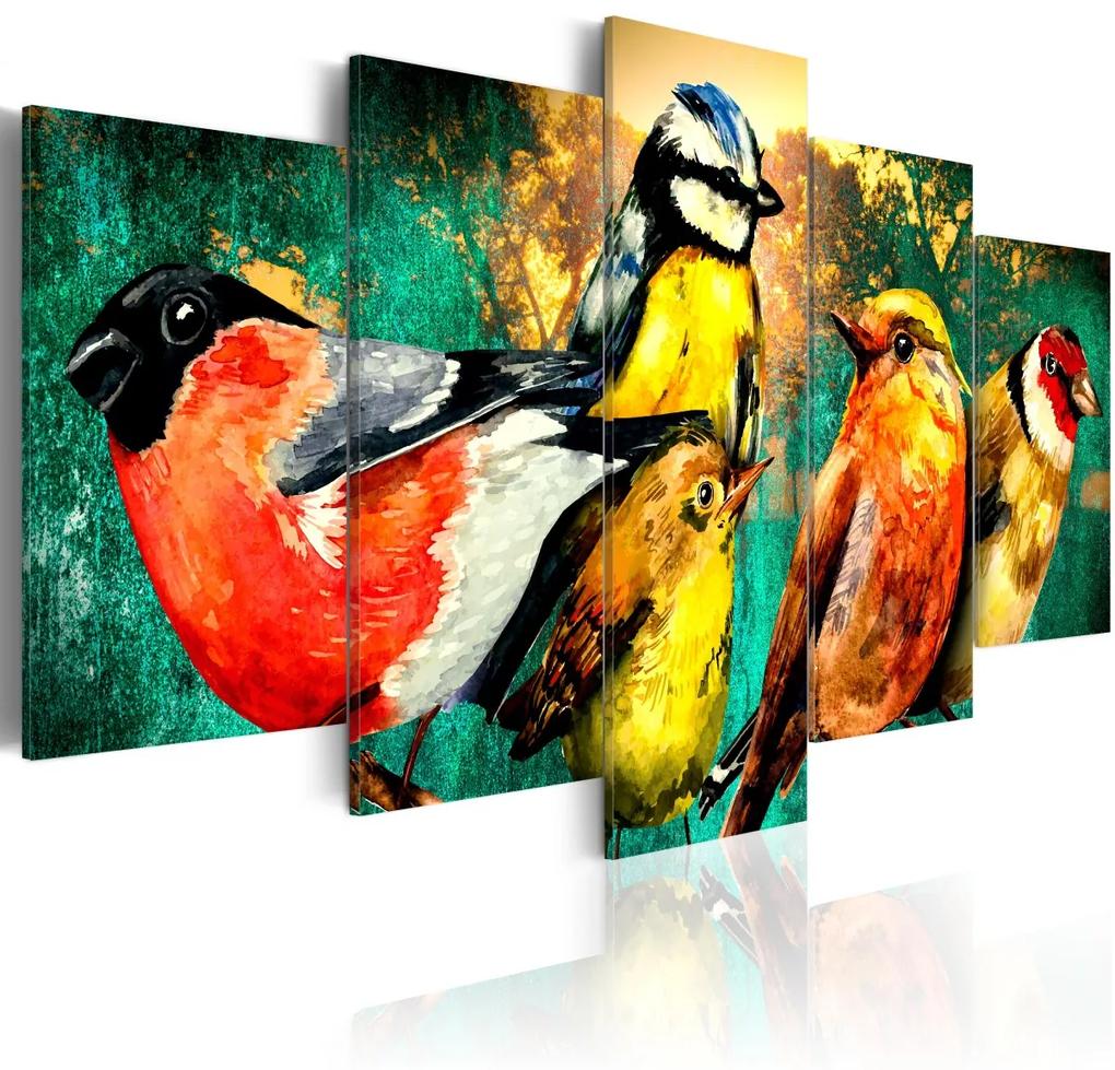 Obraz Ptáci + háčky a hřebíčky ZDARMA Velikost (šířka x výška): 200x100 cm