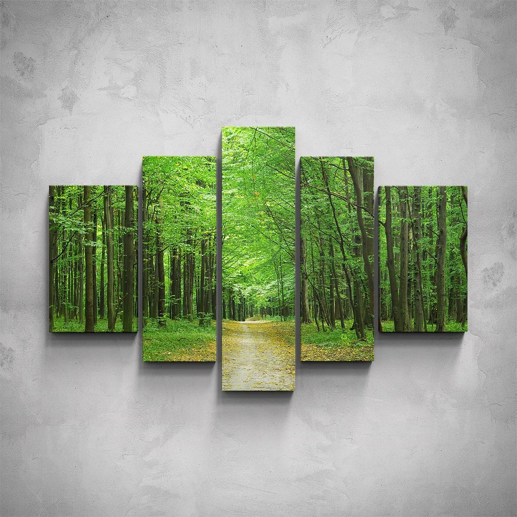 5-dílný obraz - Cesta lesem - PopyDesign