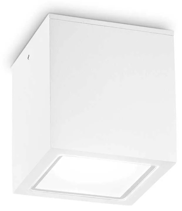 Ideal Lux Stropní přisazené svítidlo TECHO PL1 SMALL, IP54 Barva: Bílá