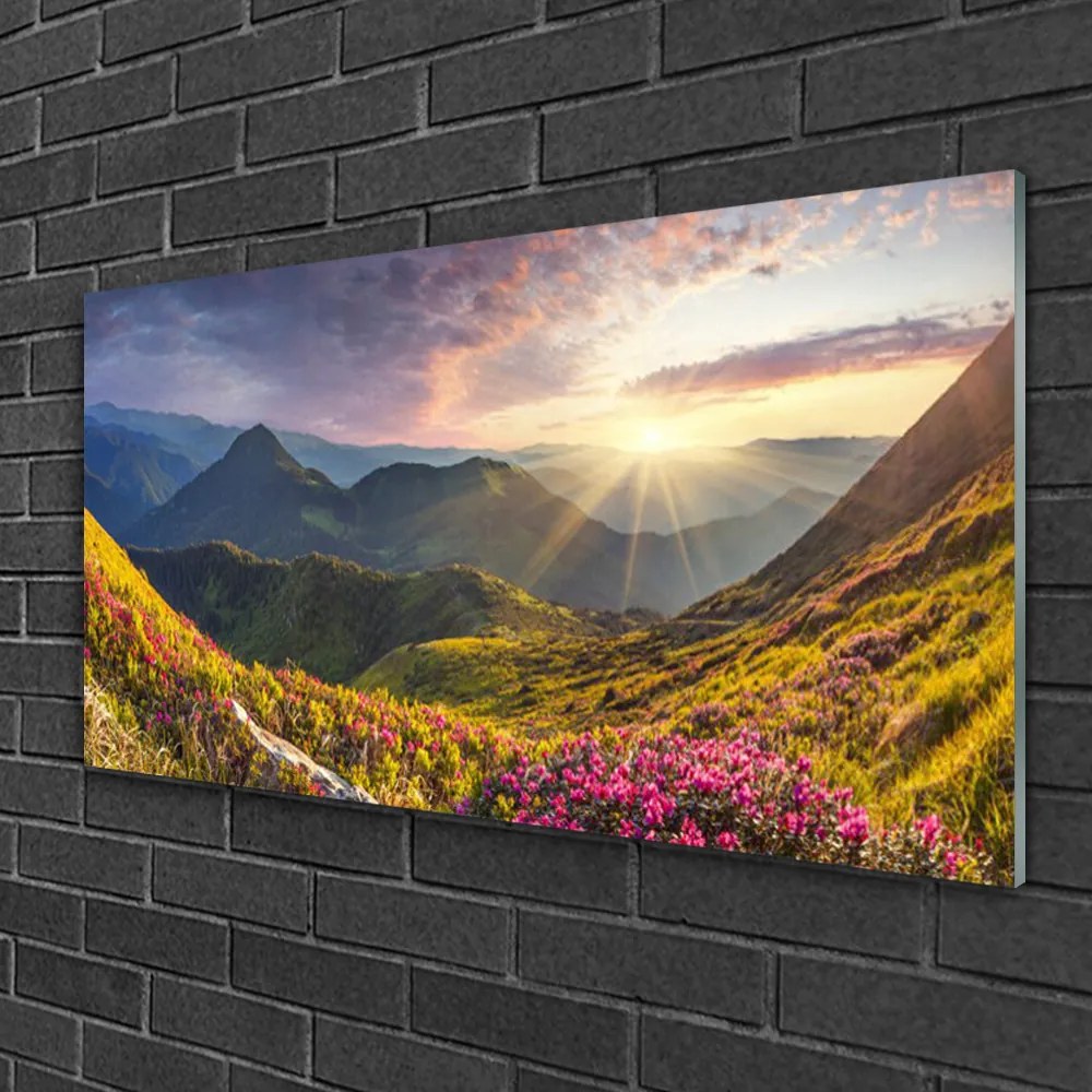 Obraz na skle Hora Louka Slunce Krajina 140x70 cm