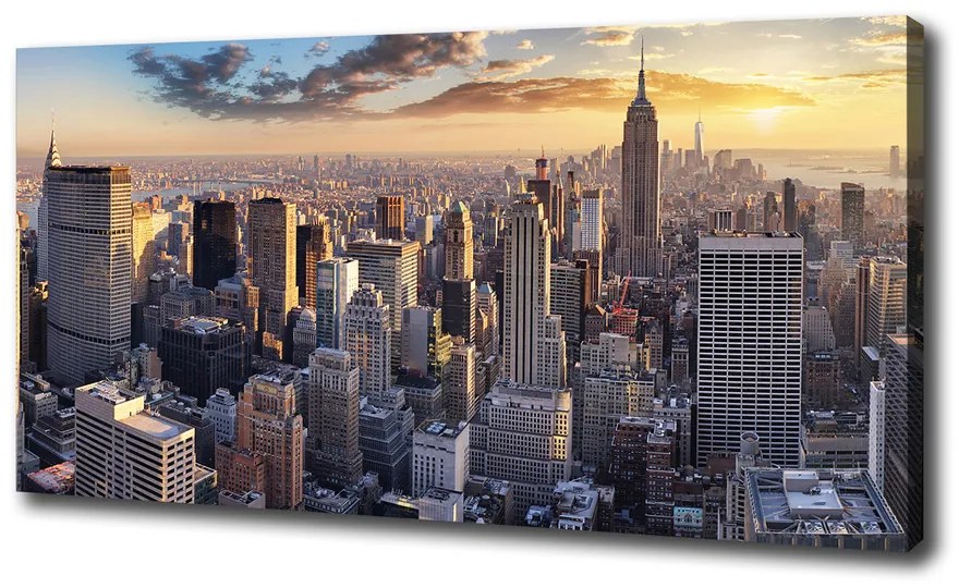 Wallmuralia Foto obraz na plátně New York ptačí pohled 100x50 cm