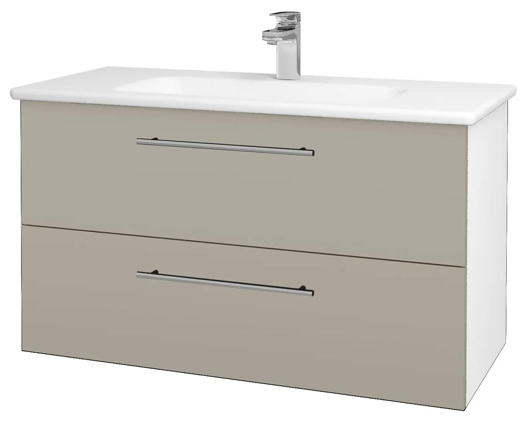 Dřevojas Koupelnová skříň GIO SZZ2 100 Varianta: N01 Bílá lesk / Úchytka T01 / D02 Bříza