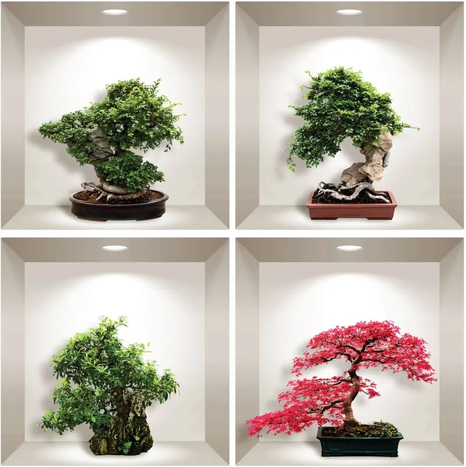 Sada 4 3D samolepek na zeď Ambiance Bonsai Maple