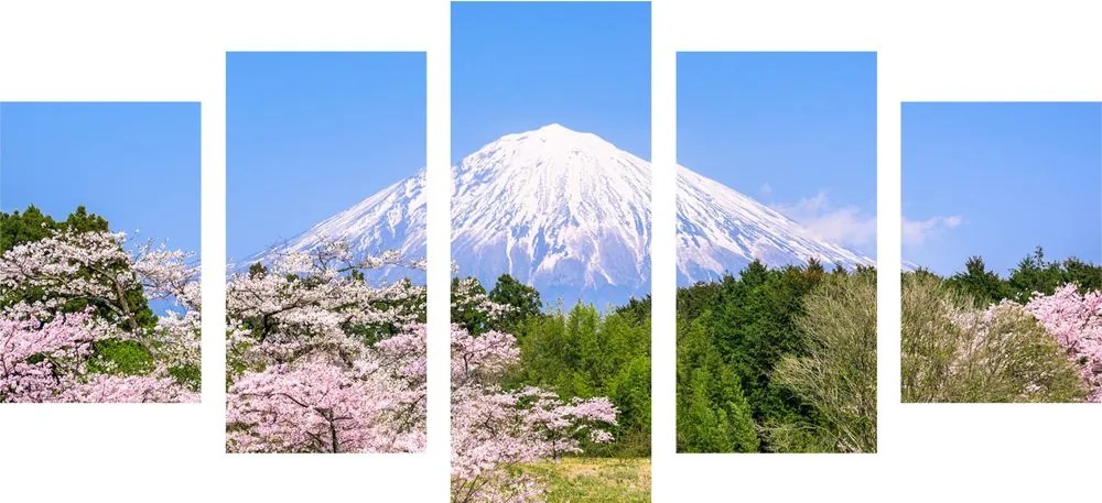 5-dílný obraz sopka Fuji Varianta: 100x50