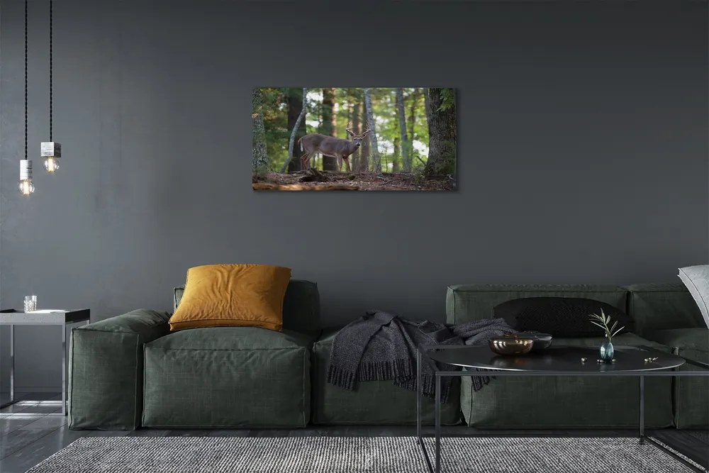 Obrazy na plátně jelen lesní 120x60 cm
