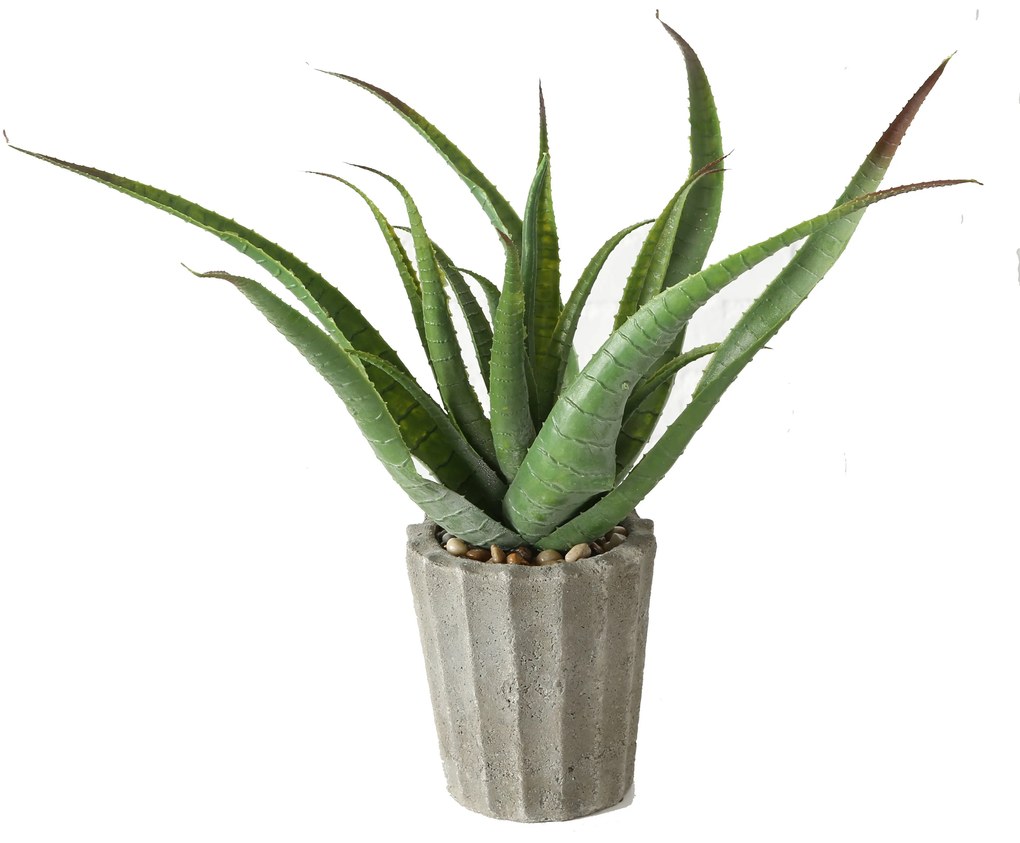 Boltze Dekorativní umělá rostlina v květináči Agave, Aloe vera 1ks