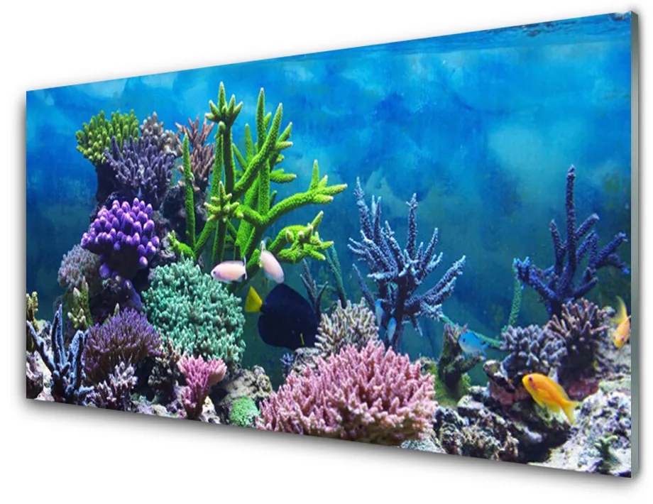 Plexisklo-obraz Akvárium Rybičky Pod Vodou 140x70 cm