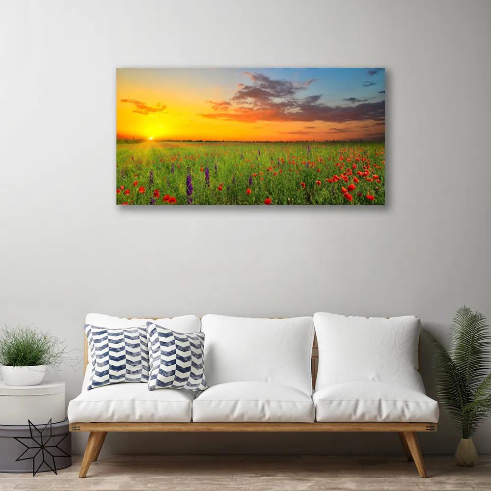 Obraz na plátně Slunce Louka Květiny Příroda 100x50 cm