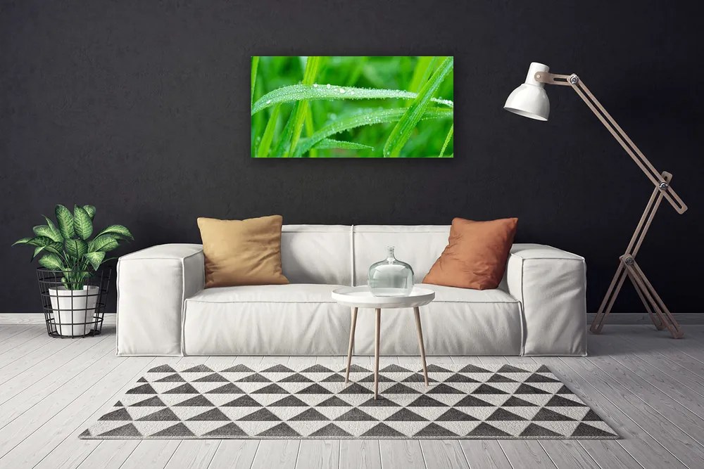 Obraz na plátně Listy Kapky Rosy Příroda 120x60 cm