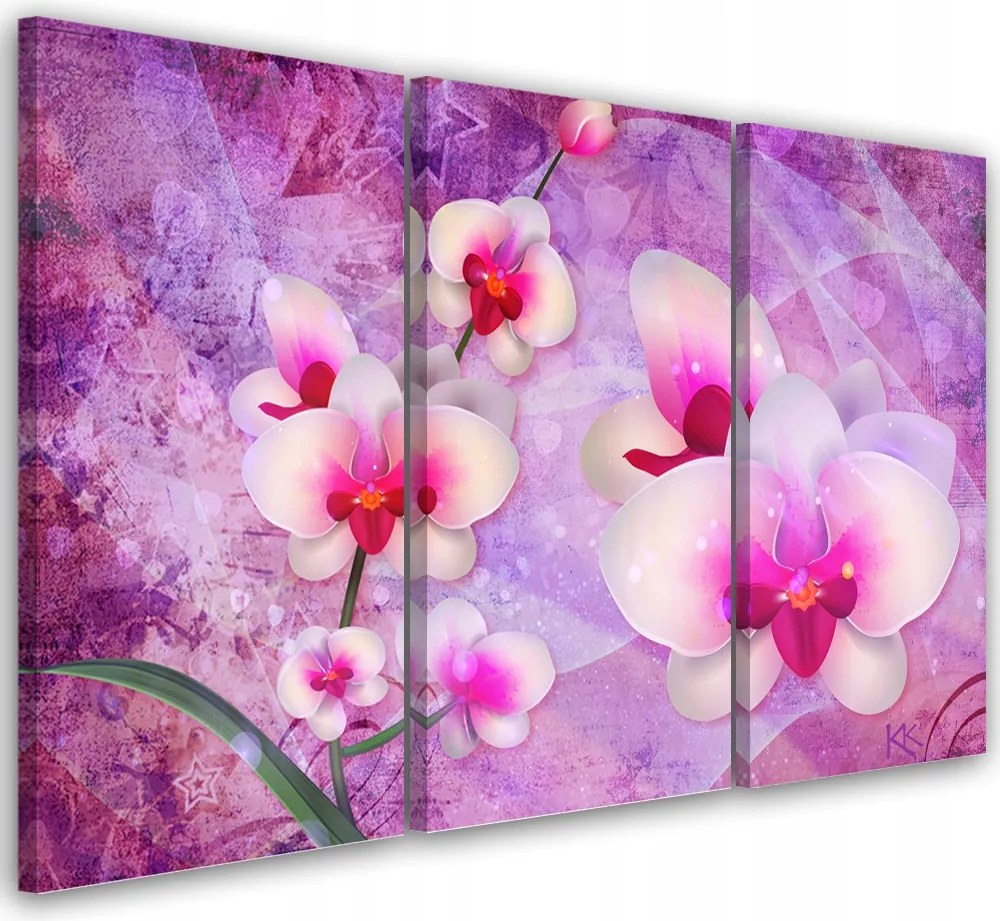 Obraz triptych na plátně, Orchidej Květiny Abstrakce 60x40