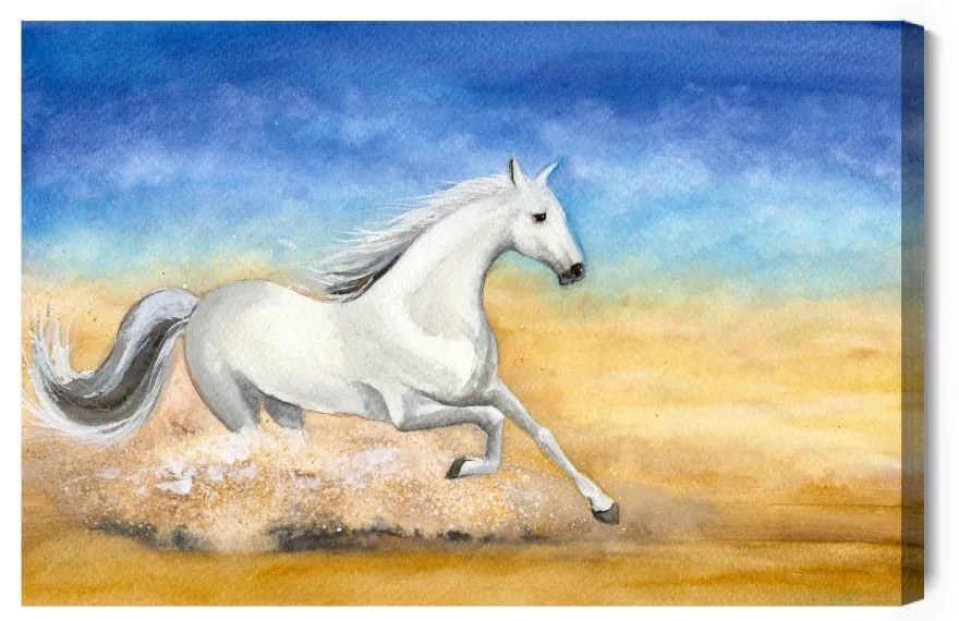 Obraz Kůň Cválající V Poušti Nedostatek Nedostatek Plátno Canvas 30x20