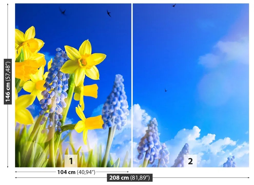 Fototapeta Modrý narcis 104x70