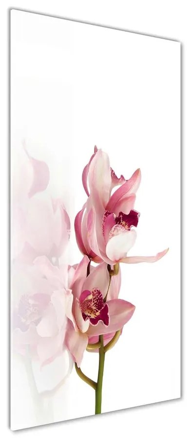 Wallmuralia Fotoobraz na skle Růžová orchidej 50x125 cm