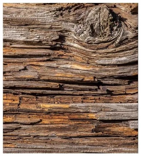 DIMEX | Vliesová fototapeta na zeď Kůra stromu MS-3-0159 | 225 x 250 cm | hnědá
