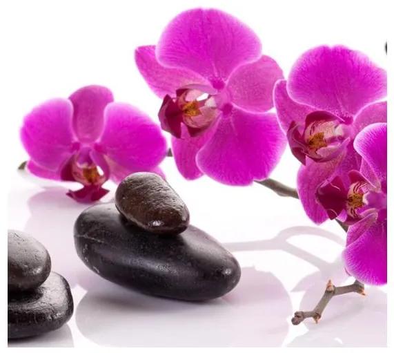 Obraz fialových květů s kameny (40x40 cm), 40 dalších rozměrů
