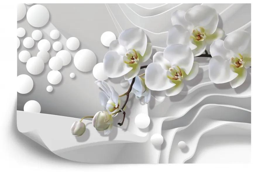 Fototapeta Bílé Orchideje Omyvatelný vlies 312x219
