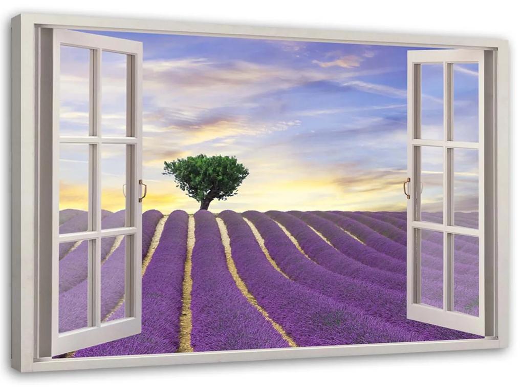Gario Obraz Okno - levandulové pole Rozměry: 100 x 70 cm, Provedení: Obraz na plátně