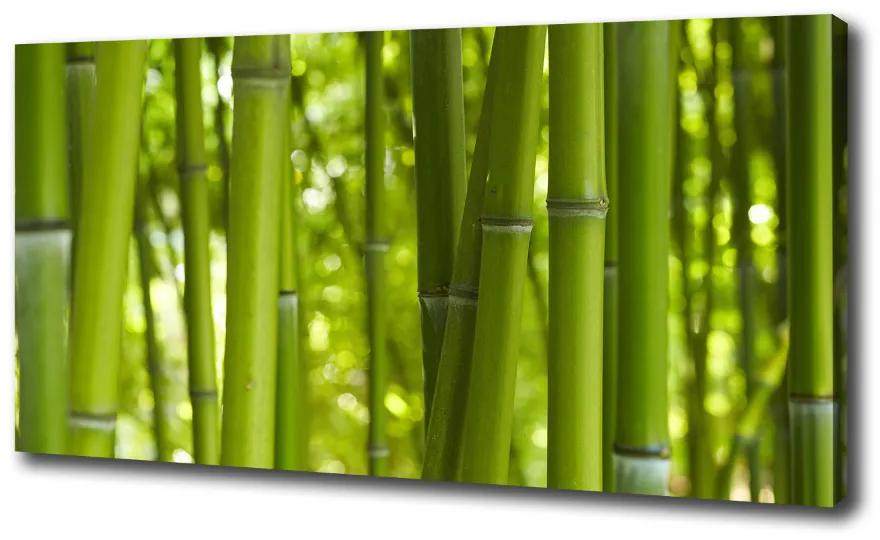 Wallmuralia Foto obraz na plátně Bambus 100x50