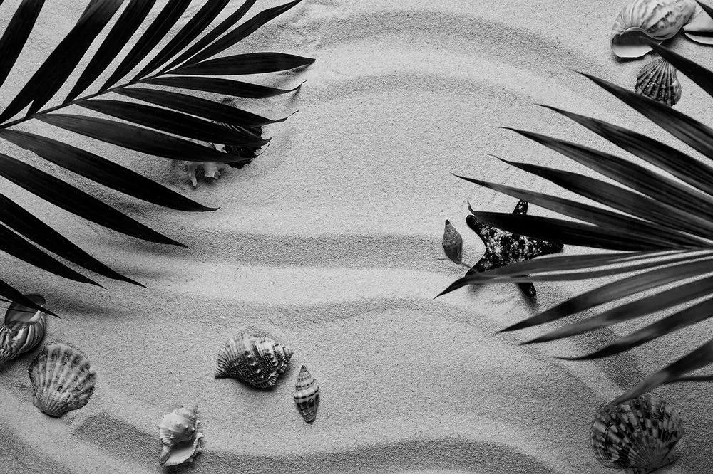 Samolepící fototapeta černobílé mušle pod palmovými listy - 225x150 cm