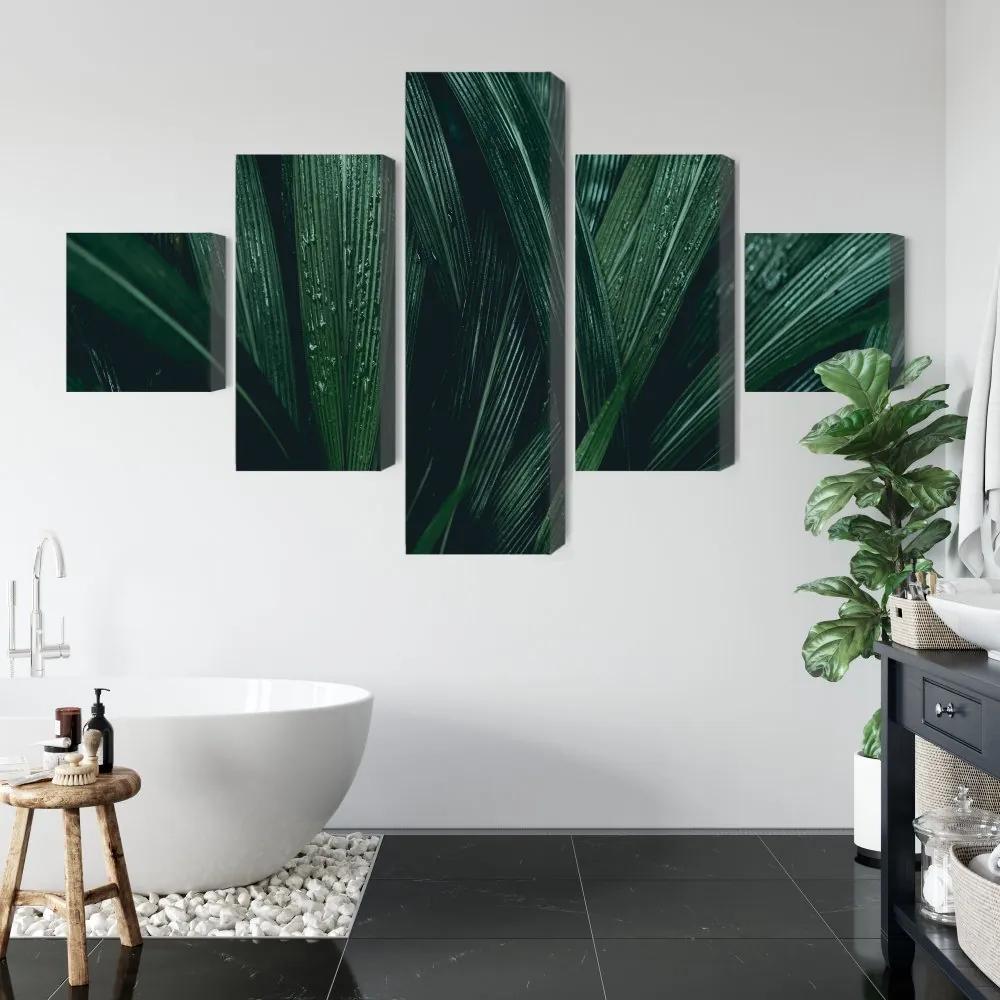 Vícedílný obraz Tmavě Zelené Listy Na Makro Stupnici Nedostatek Nedostatek Přírodní plátno 150x90