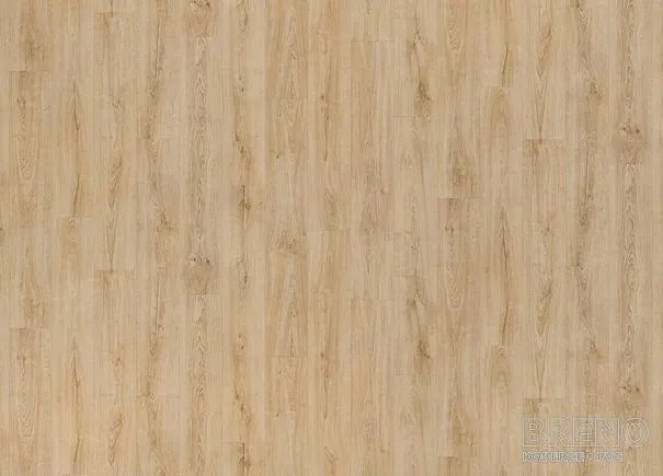 Breno PVC CALLISTO Legend Oak S36 – světlé dřevo, šíře 300 cm