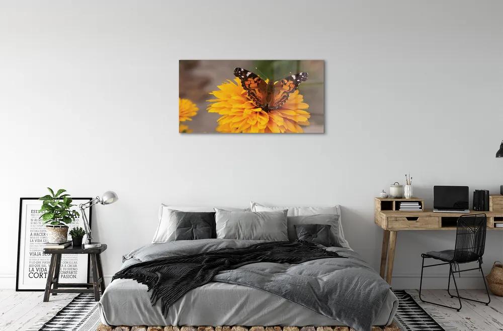 akrylový obraz Barevný motýl květina 100x50 cm